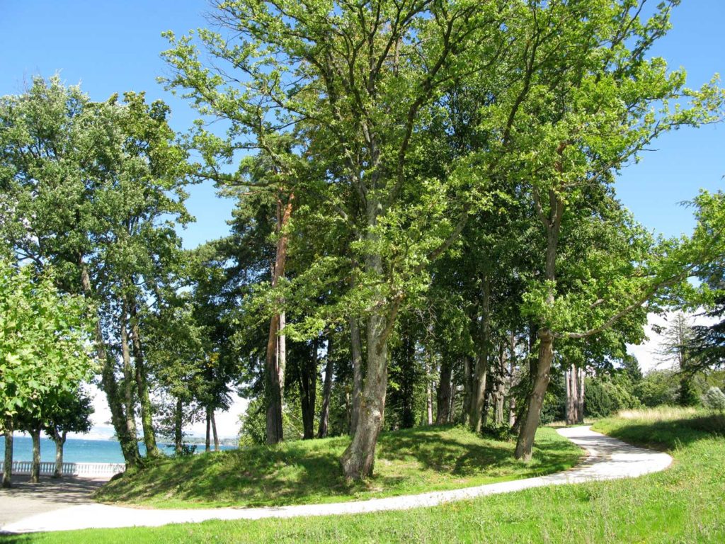Parc naturel de Corzent - ADP DUBOIS Paysage et Urbanisme